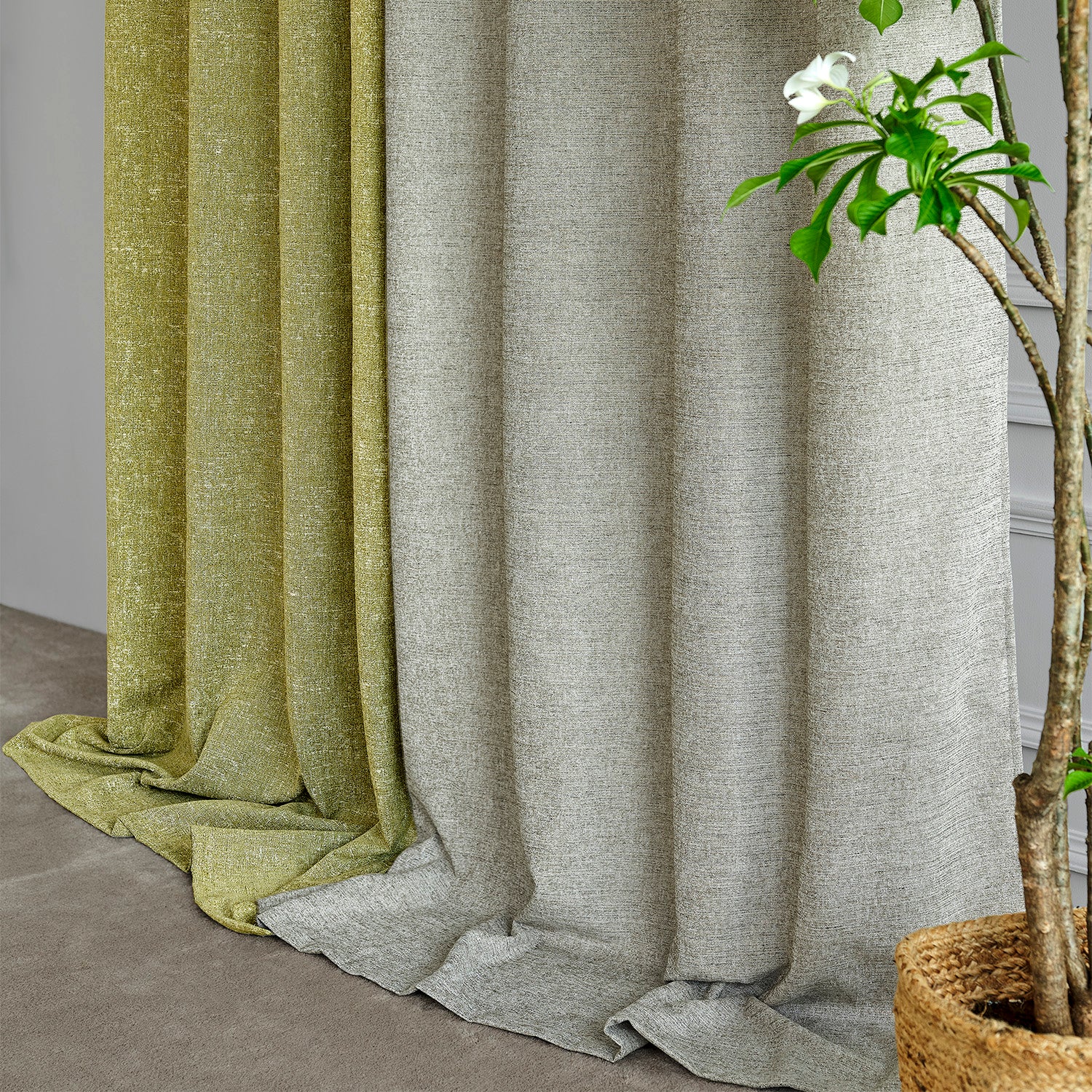 Focus Vol 5 – Gmliving.in