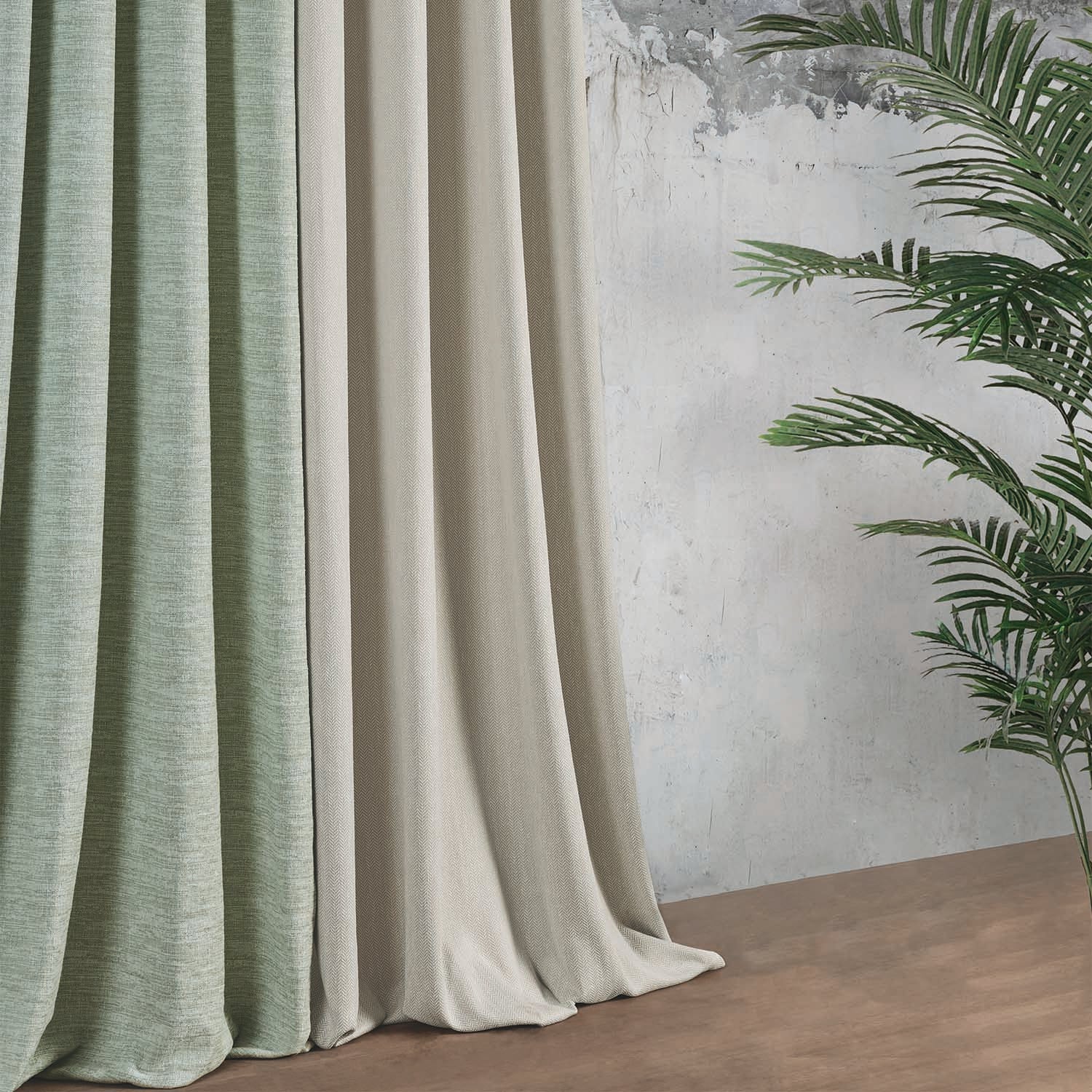 Focus Vol 2 – Gmliving.in